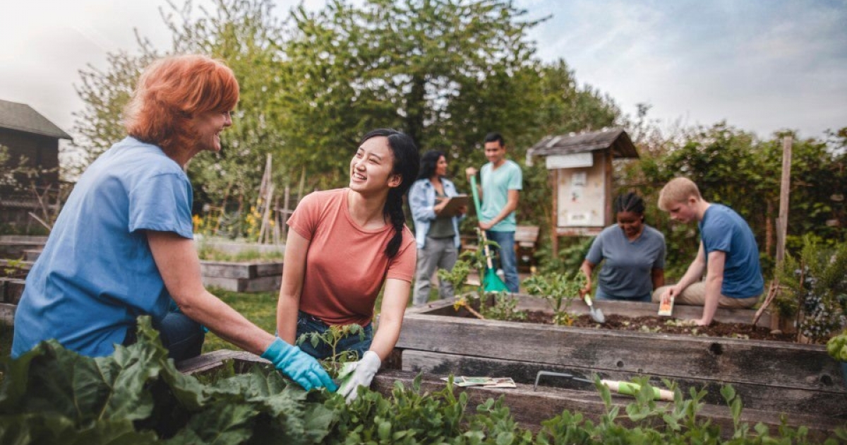 How Green Communities Canada helps climate projects | TD Stories