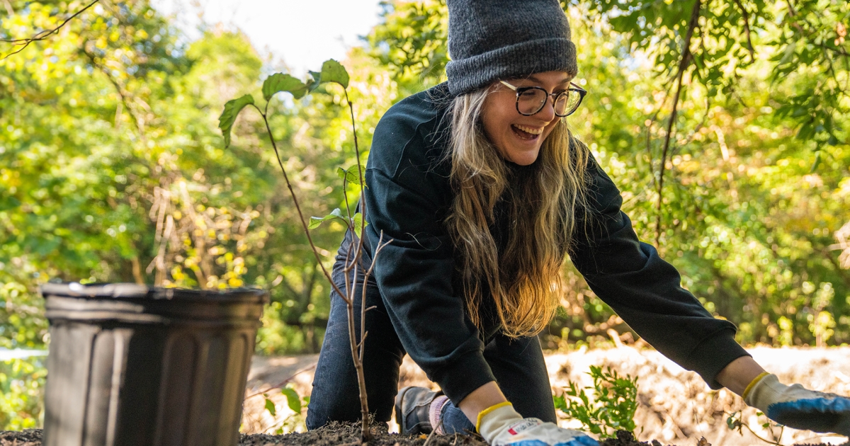 Ways to help the environment | TD Stories