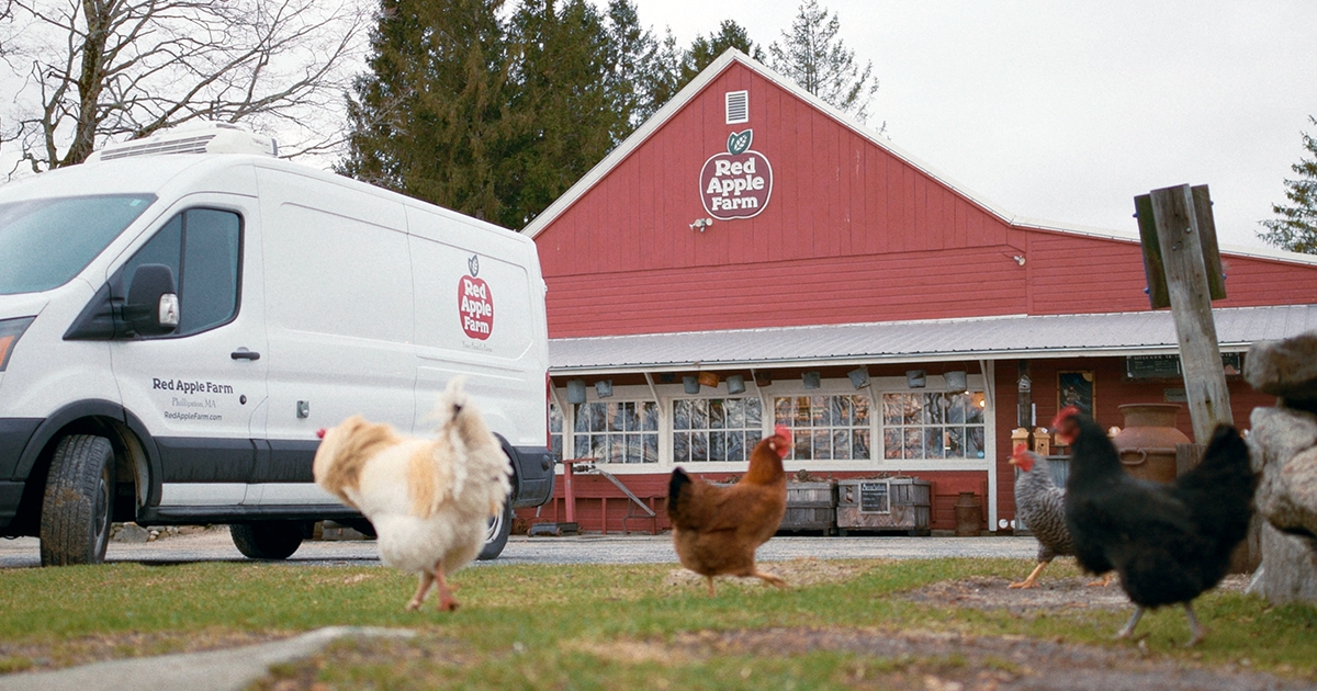 Four Generations of Love: Creating an Authentic Family Farm Feeling ...